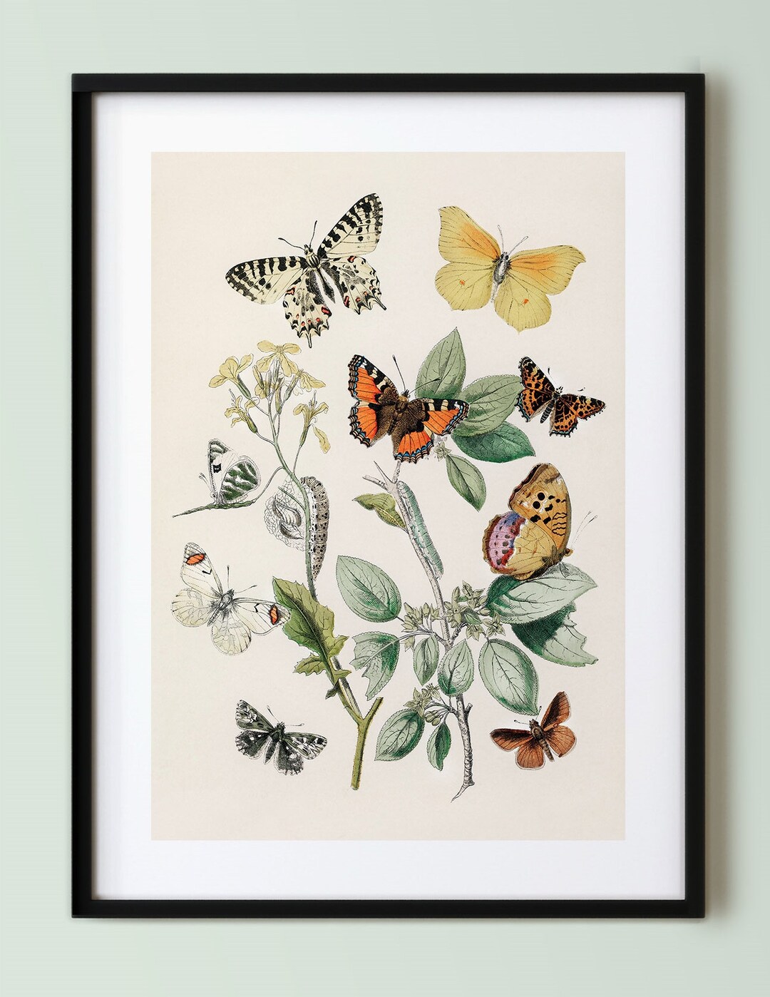 Butterflies, Downloadable Print, Butterfly Print, Poster, Wall Art ...