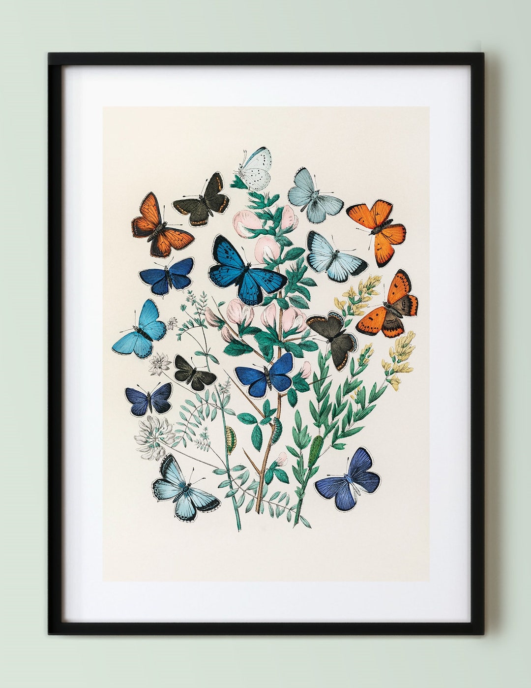 Butterflies, Downloadable Print, Vintage Butterfly Print, Poster, Wall ...