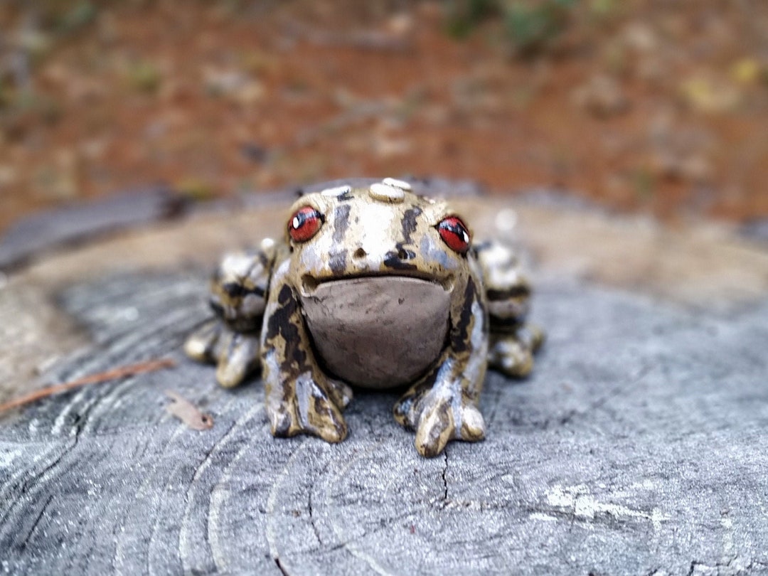 Ceramic Toad, OOAK, Realistc Handmade Frog, Garden Art, Fairy Garden ...