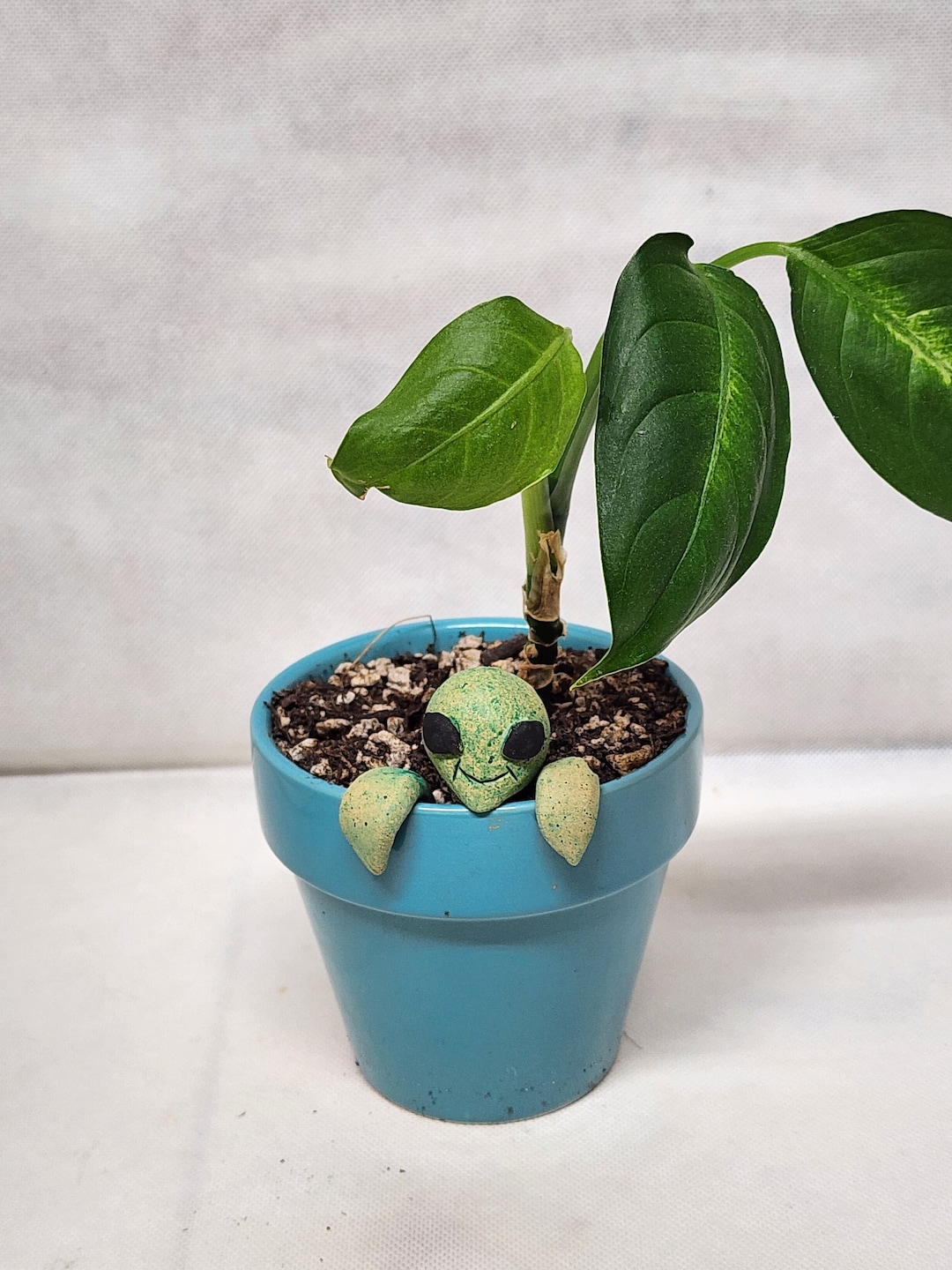 Alien Plant Buddy, Ceramic Alien, Garden Art, Plant Stake, Mini Green ...