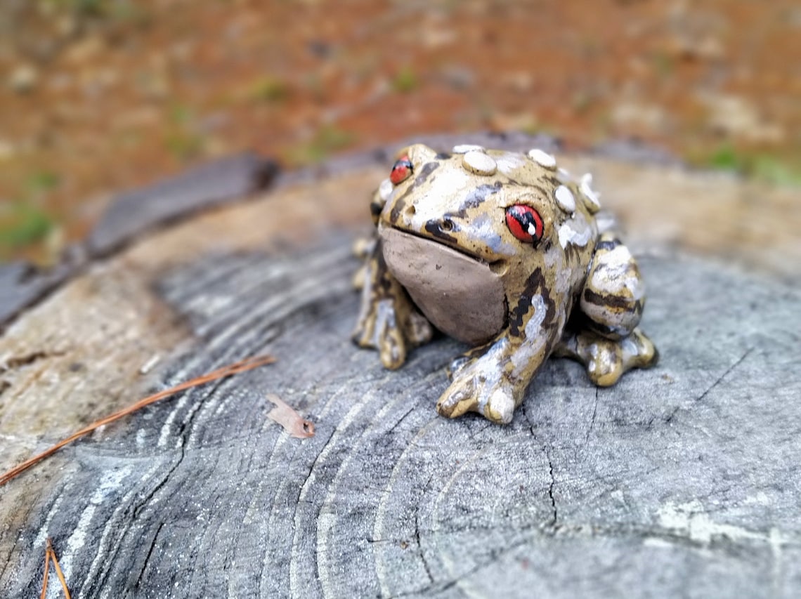Ceramic Toad OOAK Realistc Handmade Frog Garden Art Fairy | Etsy