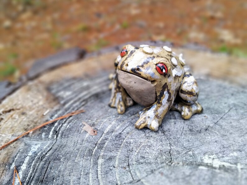 Ceramic Toad OOAK Realistc Handmade Frog Garden Art Fairy | Etsy