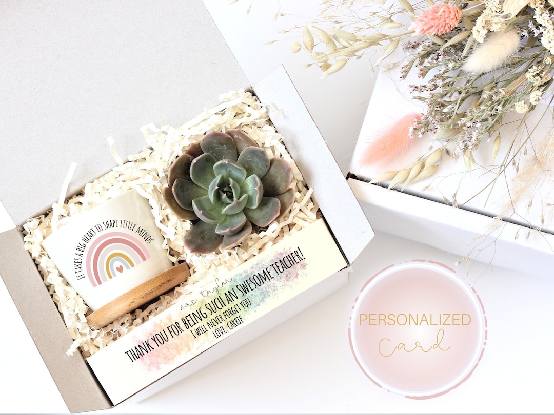 Preschool Teacher Gift - Plant Set for Teacher - Appreciation Gift for ...