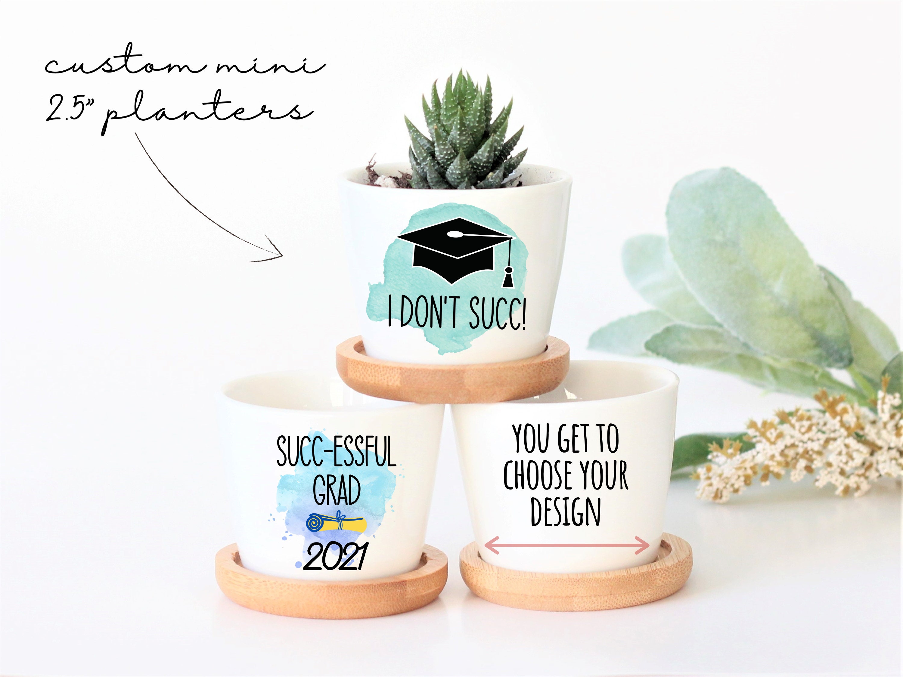 Graduation Gift Box - Succulent Gift - Grad Gift - Live Plant Gift ...