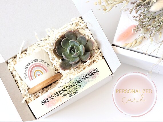 Preschool Teacher Gift Plant Set for Teacher Appreciation - Etsy