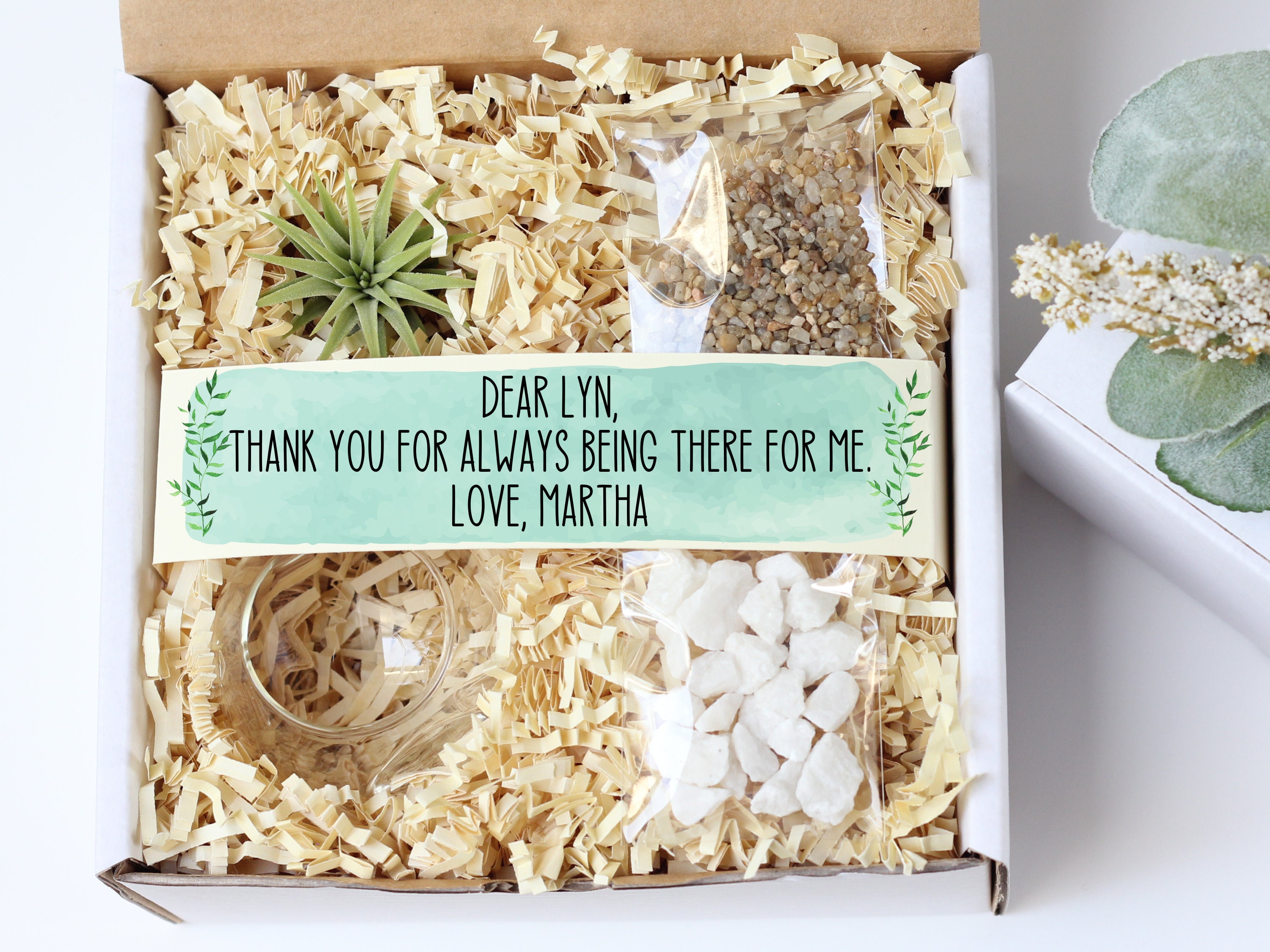 Mini Air Plant Gift Box Personalized Plant Gift Custom - Etsy