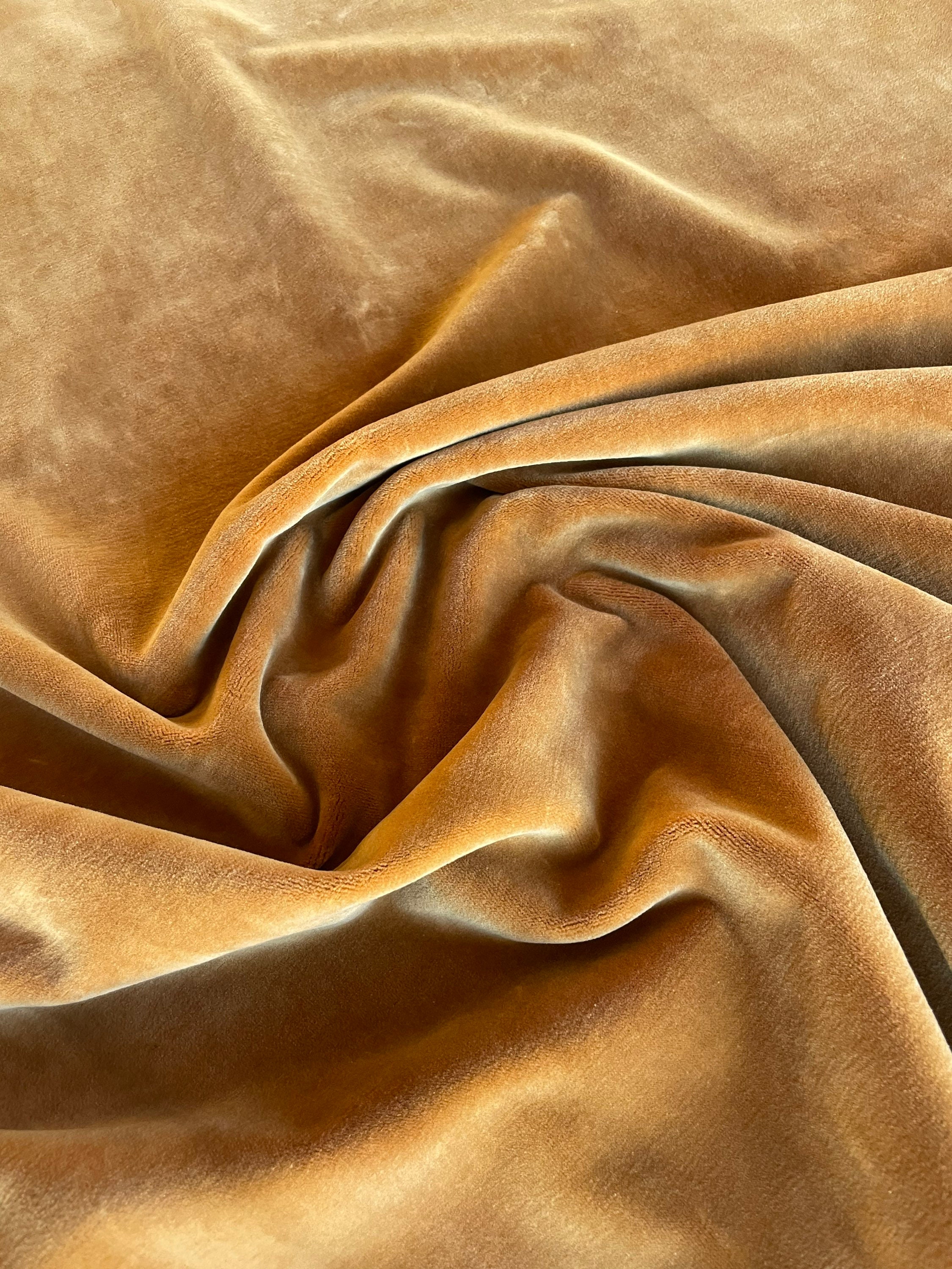 Stunning Caramel Toffee Coloured Sumptuously Thick Silk Velvet Vintage ...