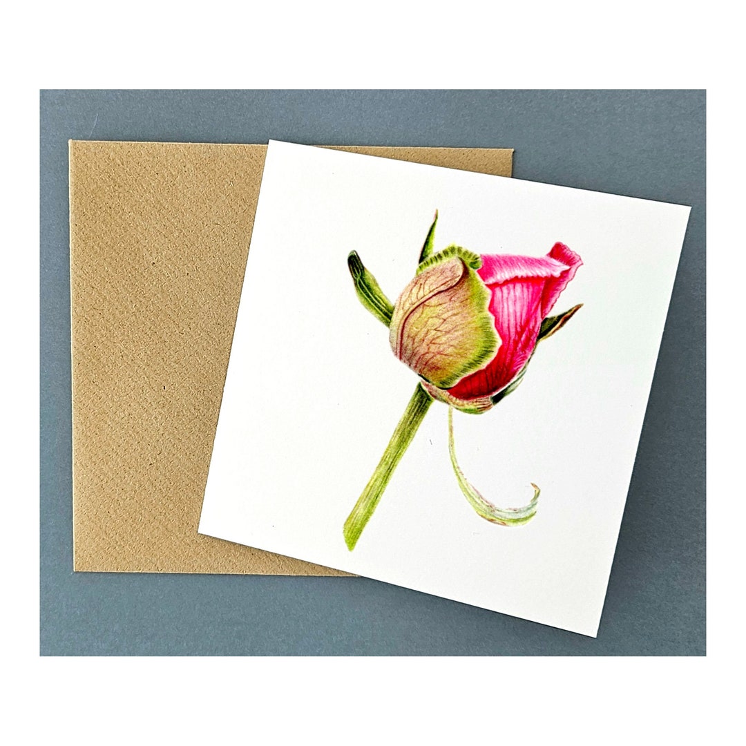 Rose Card Card With Rose Roses Birthday Card Roses Greeting Card Flower ...