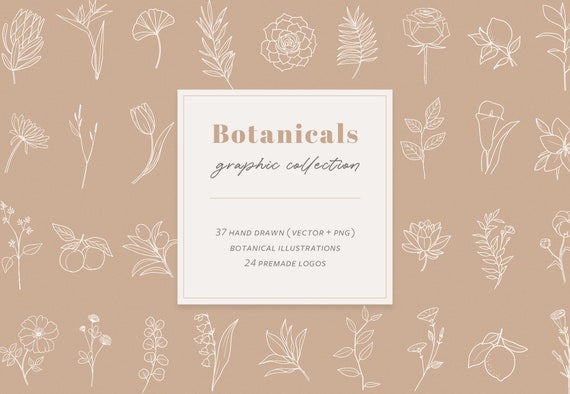 Botanical Line Art Clipart Hand Drawn Flourish SVG PNG AI Eps - Etsy