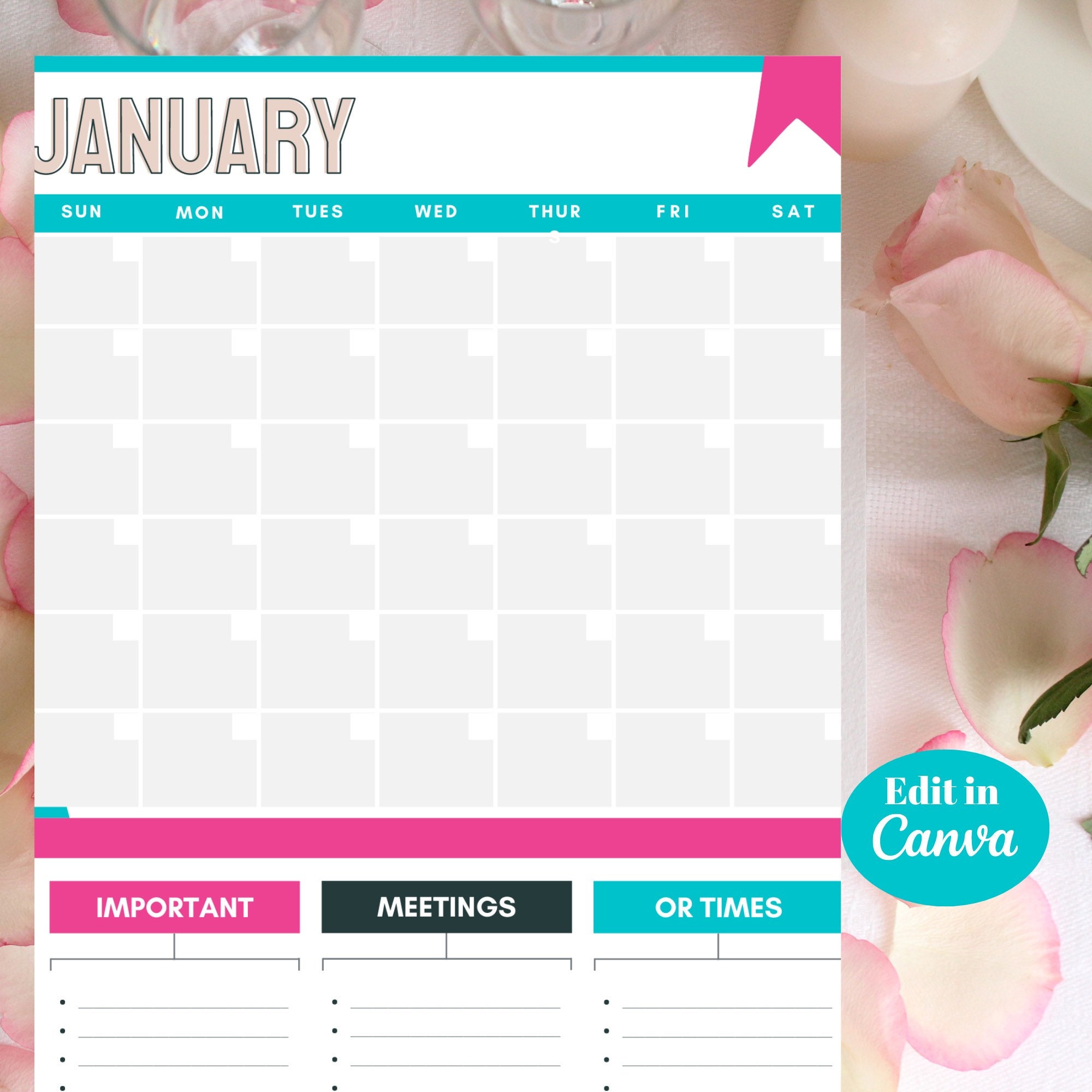 Yearly Calendar Template: Aqua & Pink, Printable Canva Planner (digital ...