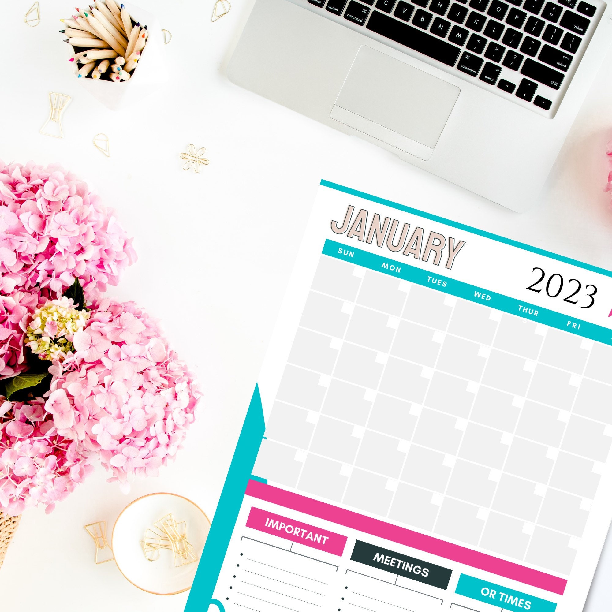 Yearly Calendar Template: Aqua & Pink, Printable Canva Planner (digital ...