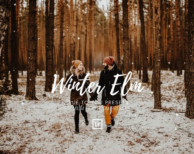 Realistic Snow Overlay for LIGHTROOM- Add Snow Presets- Add Snow in ...