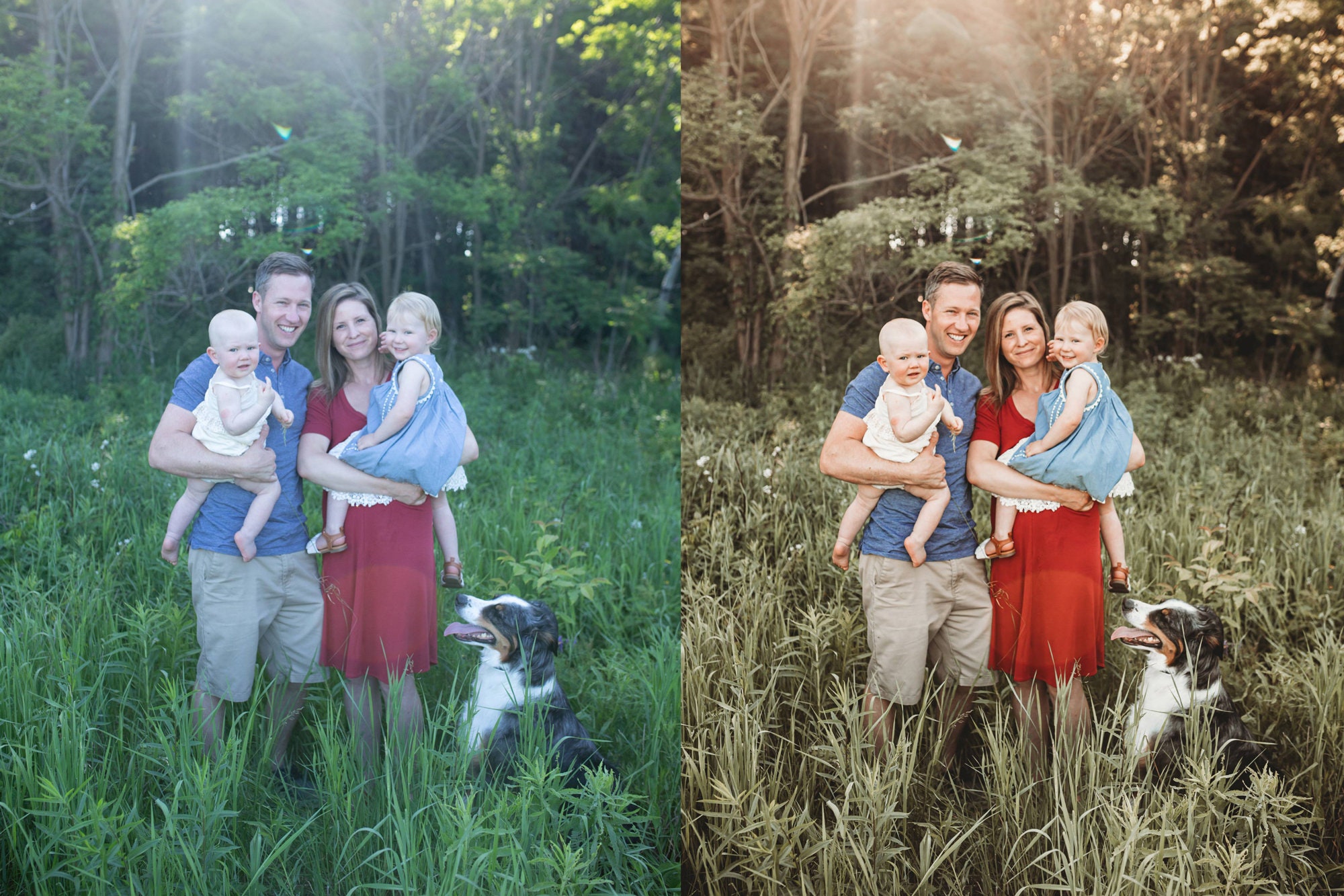 Pure Family Presets- Perfect Family- Desktop Lightroom, 13 Presets ...
