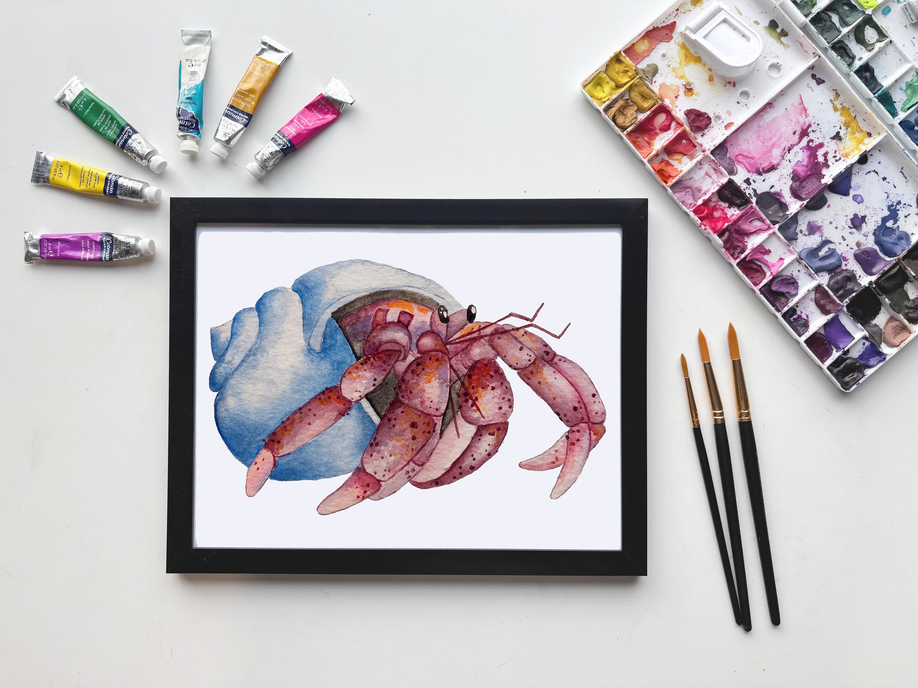 Watercolor Print: Hermit Crab, Hermit Crab Theme, Hermit Crab Wall Art ...