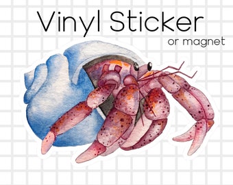 Hermit Crab Sticker - Etsy