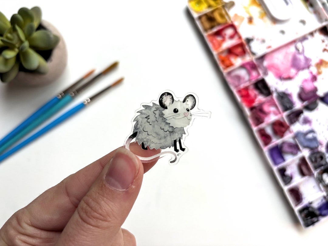 Opossum Possum Pin: Cute Opossum Lover Gift, Baby Opossum Pin ...