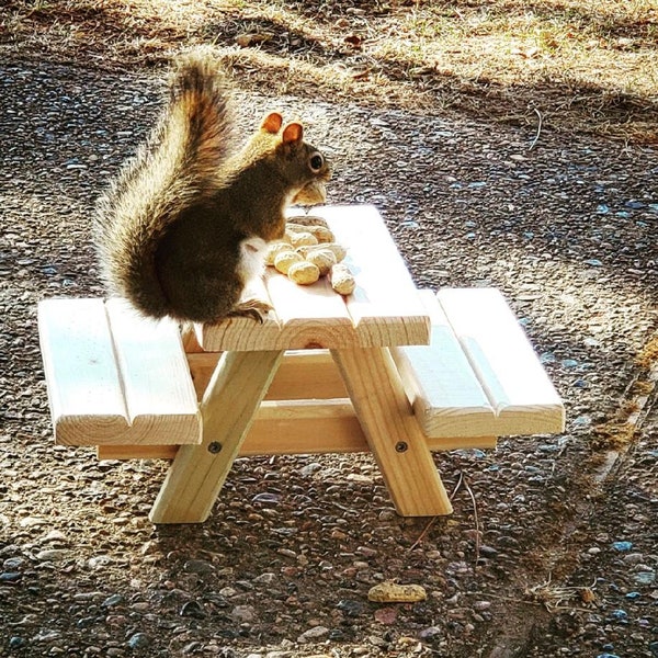 Squirrel Picnic Table - Etsy