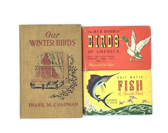 Antique Guide Books - Etsy