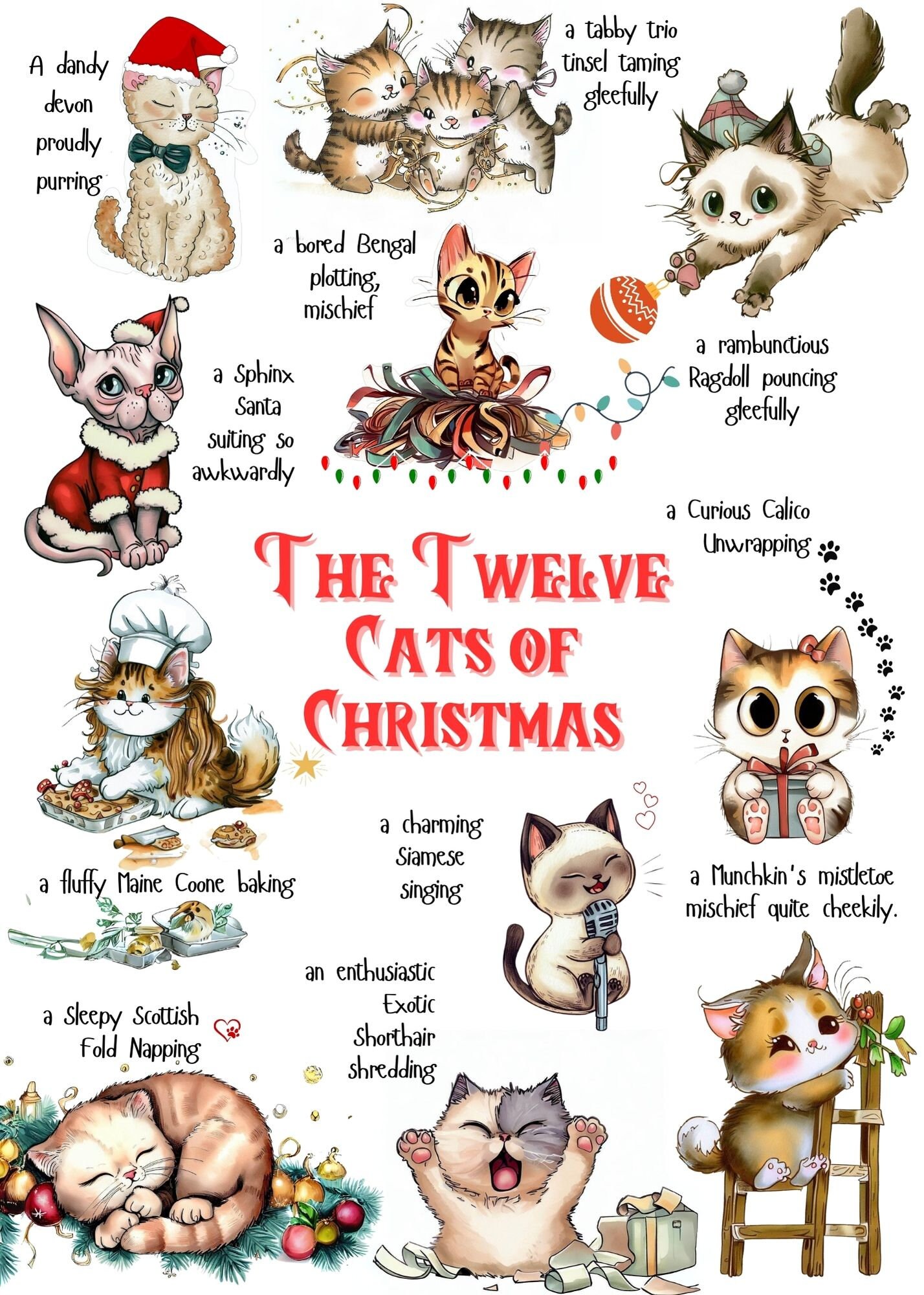 The Twelve Cats of Christmas A High-quality A5 Christmas Card for Cat ...