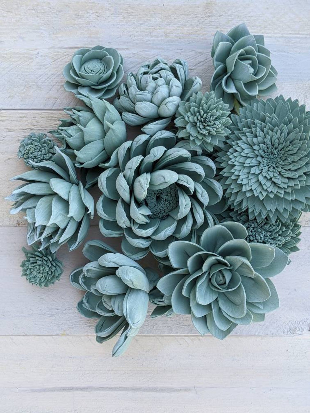 Sola Wood Succulents, Wood Succulents, Succulents, Airbrushed Wood ...