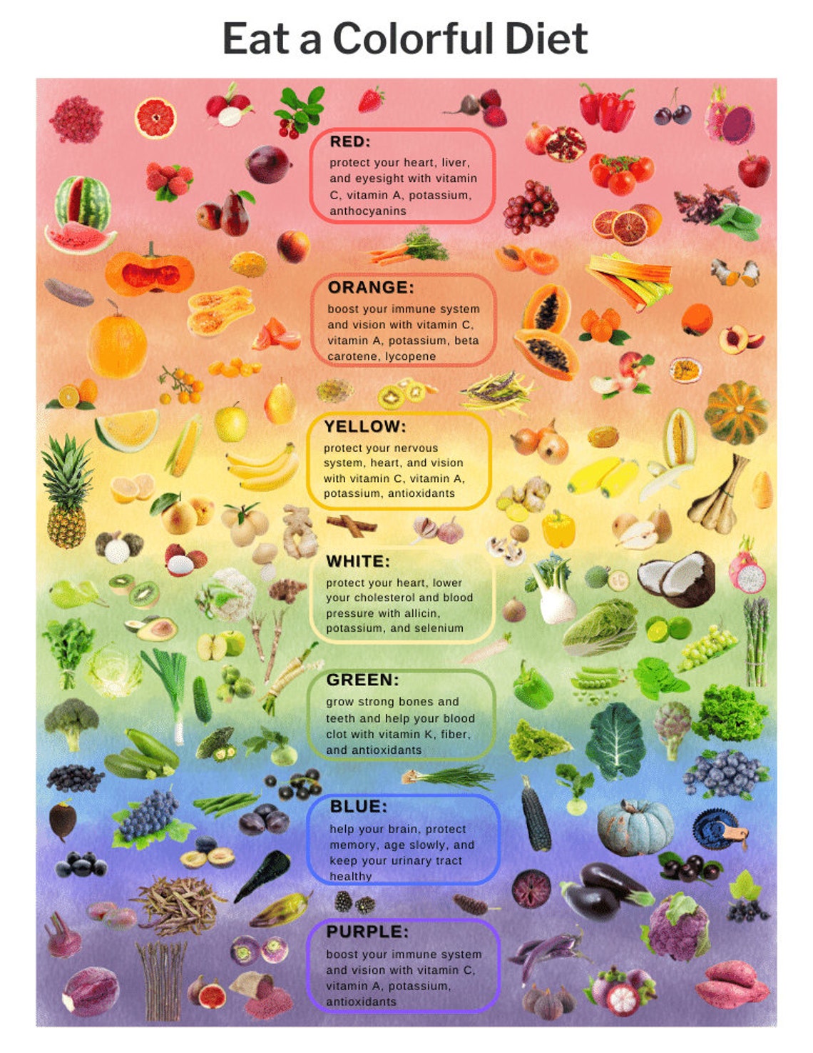 Educational Poster Eat a Colorful Diet Montessori Materials - Etsy