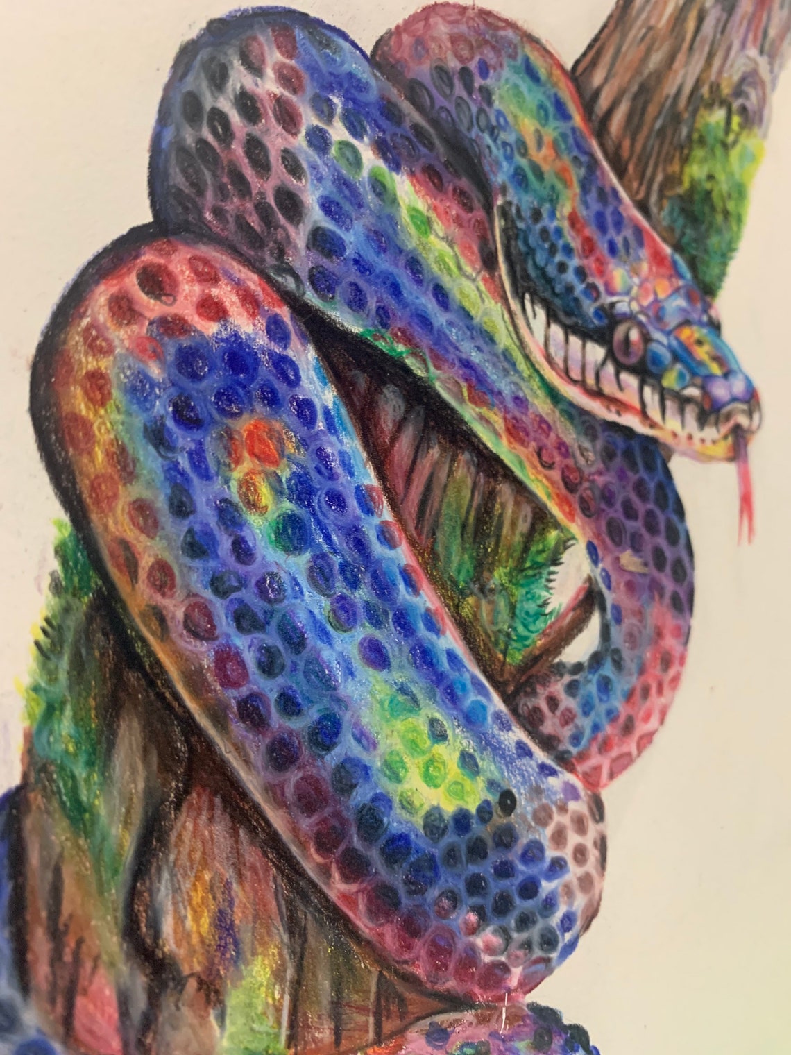 Rainbow snake drawing | Etsy