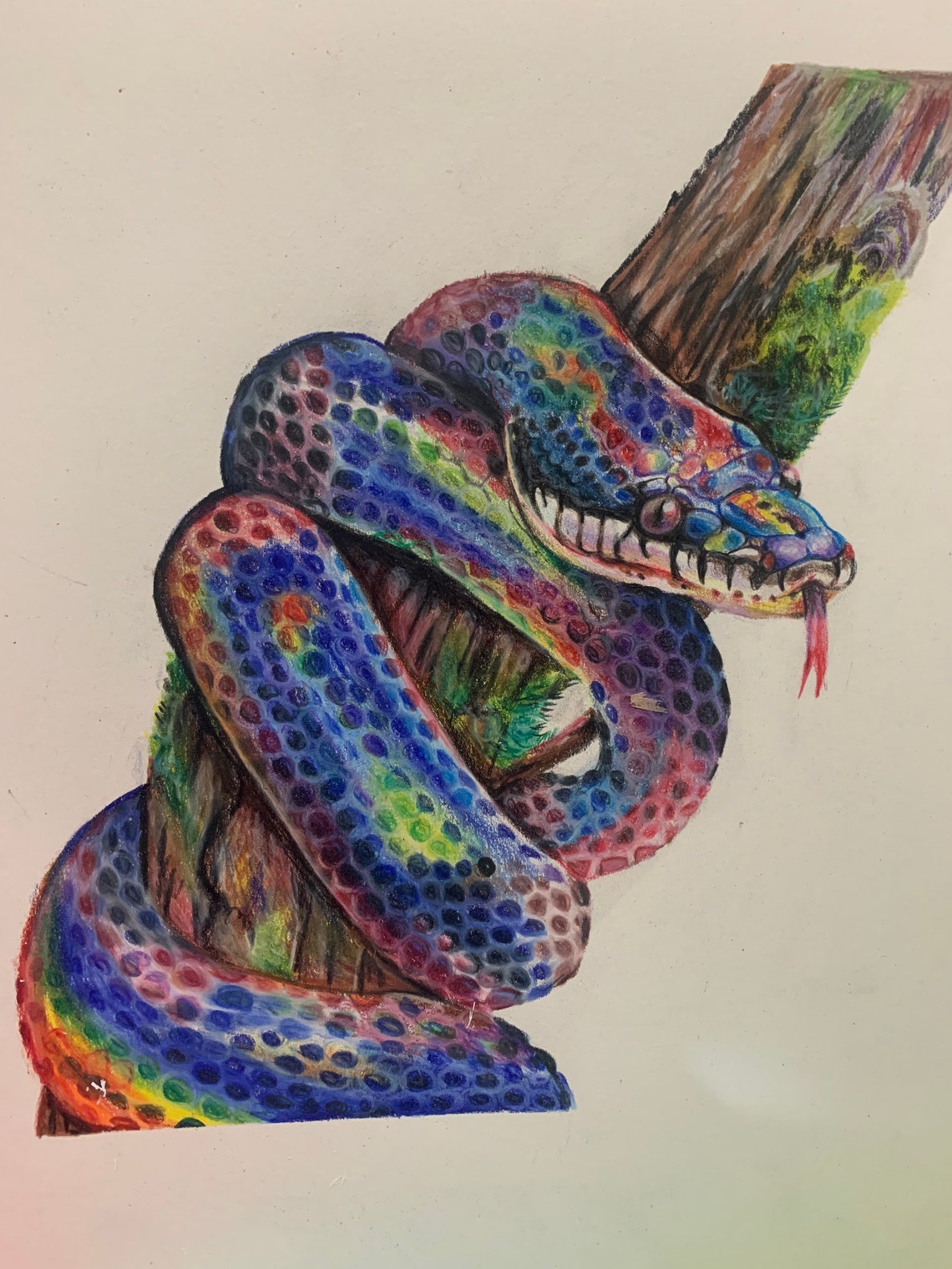 Rainbow snake drawing | Etsy