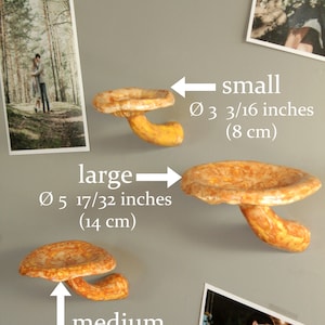 Mushroom Shelf, Mushroom Decor, Hanging Shelves, Floating Shelf ...