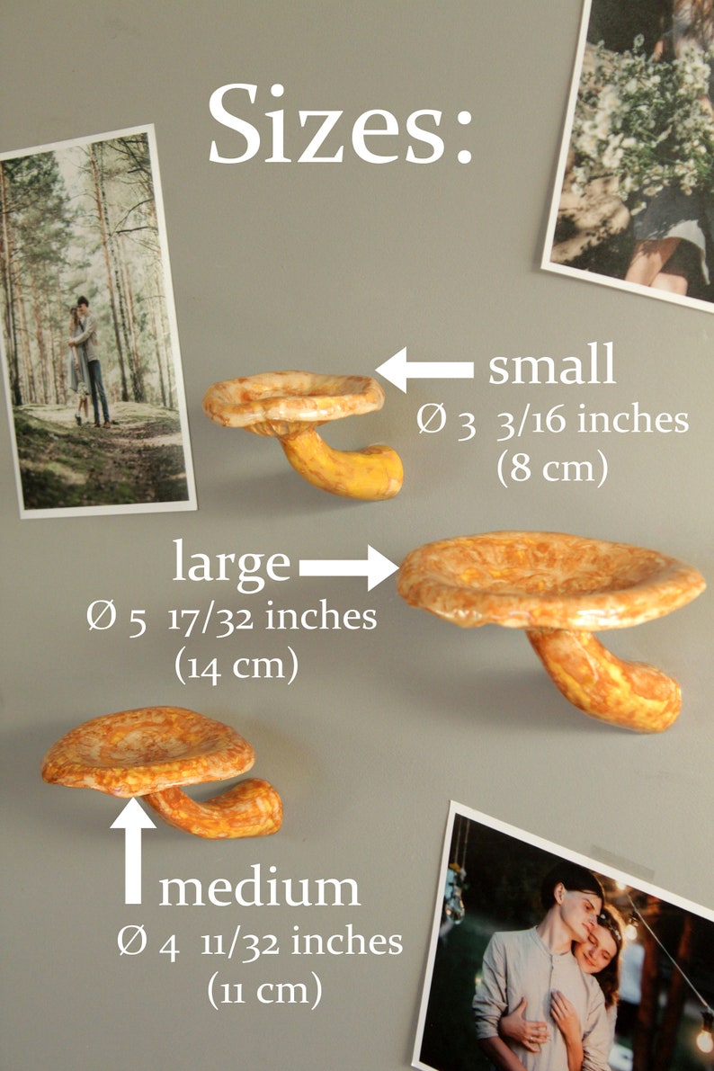 Mushroom Shelf Mushroom Decor Hanging Shelves Floating - Etsy