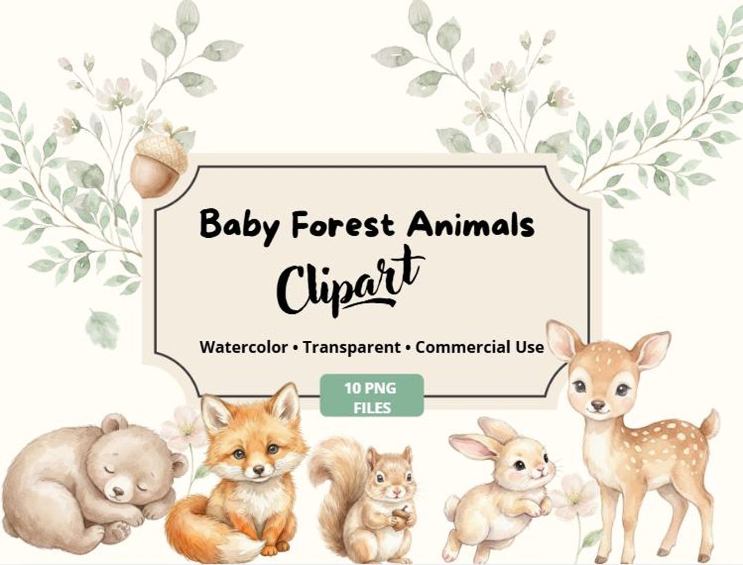 Baby Forest Animals Clipart – Watercolor Collection - Etsy