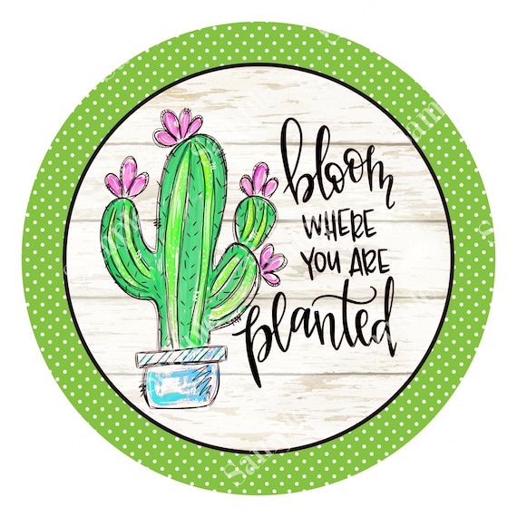 Bloom Where You Are Planted Cactus Sign Round Spring Summer | Etsy