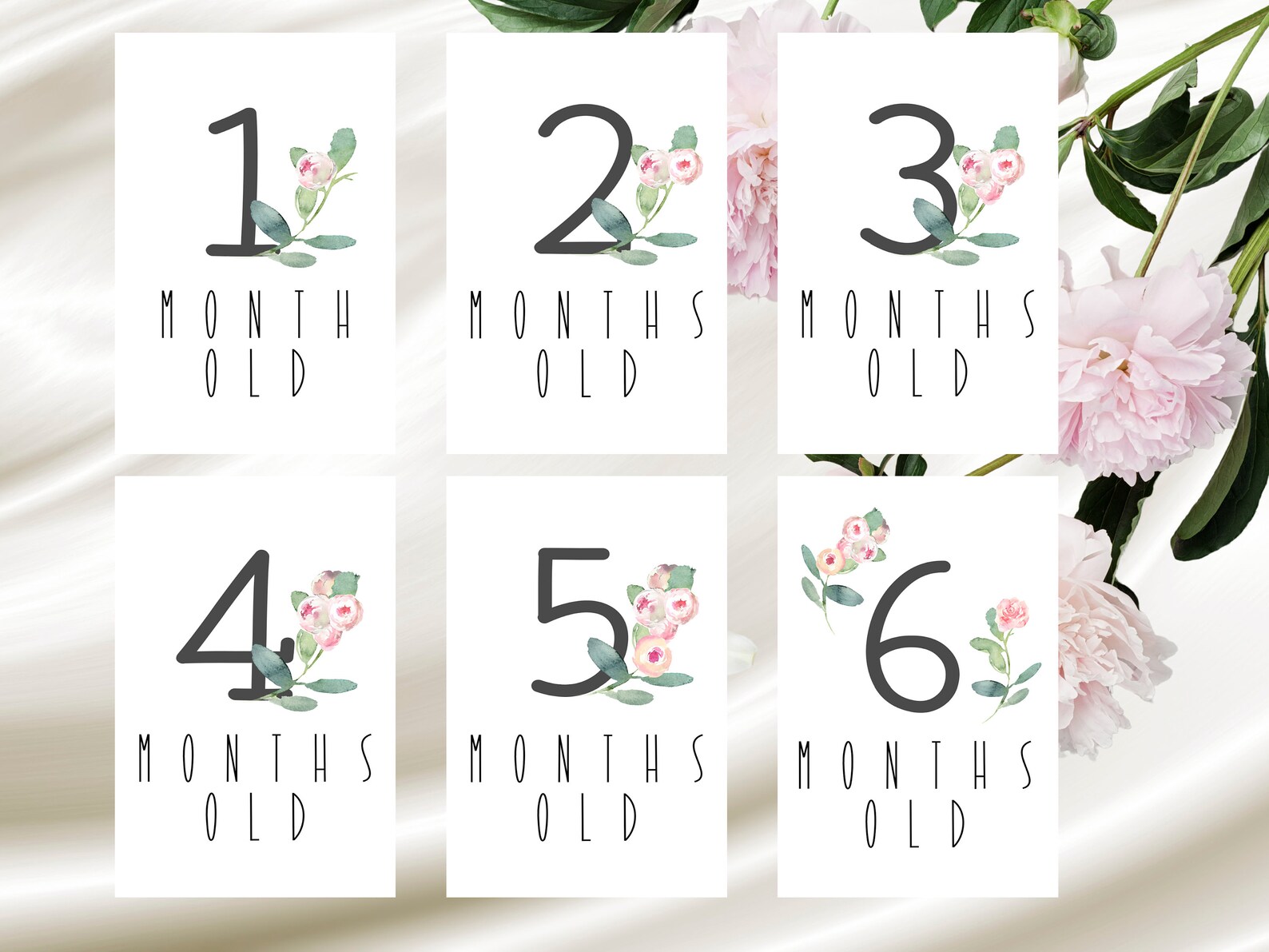 Baby Milestone Printable Cards Watercolor Floral Monthly | Etsy