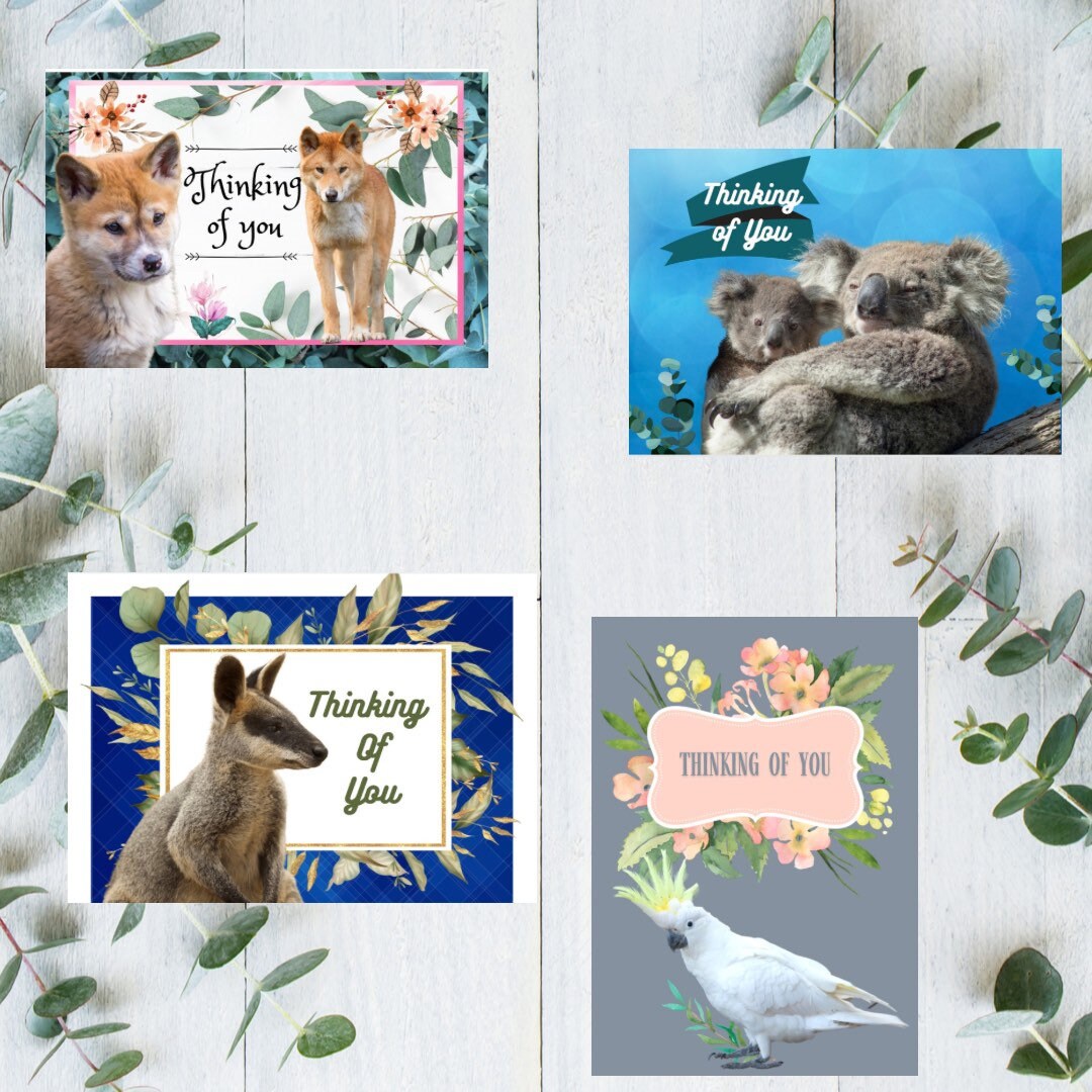 Postcards A6 Set Australian Animals set of 4 - Etsy