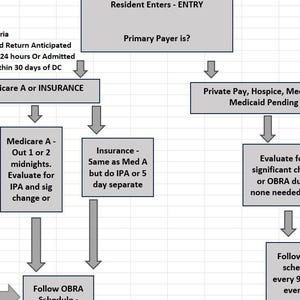 Skilled Nursing MDS Tool - Spreadsheet Tool for Ard's and Due Dates - Etsy