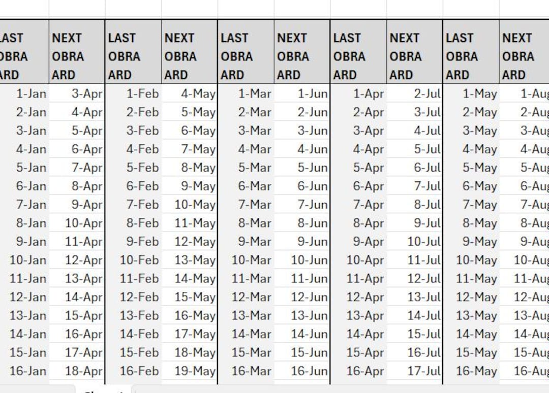 MDS OBRA Scheduling Tool for 2025! Never Miss an MDS! - Etsy