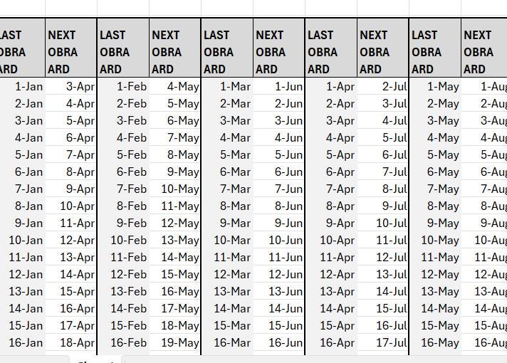 MDS OBRA Scheduling Tool for 2025! Never Miss an MDS! - Etsy