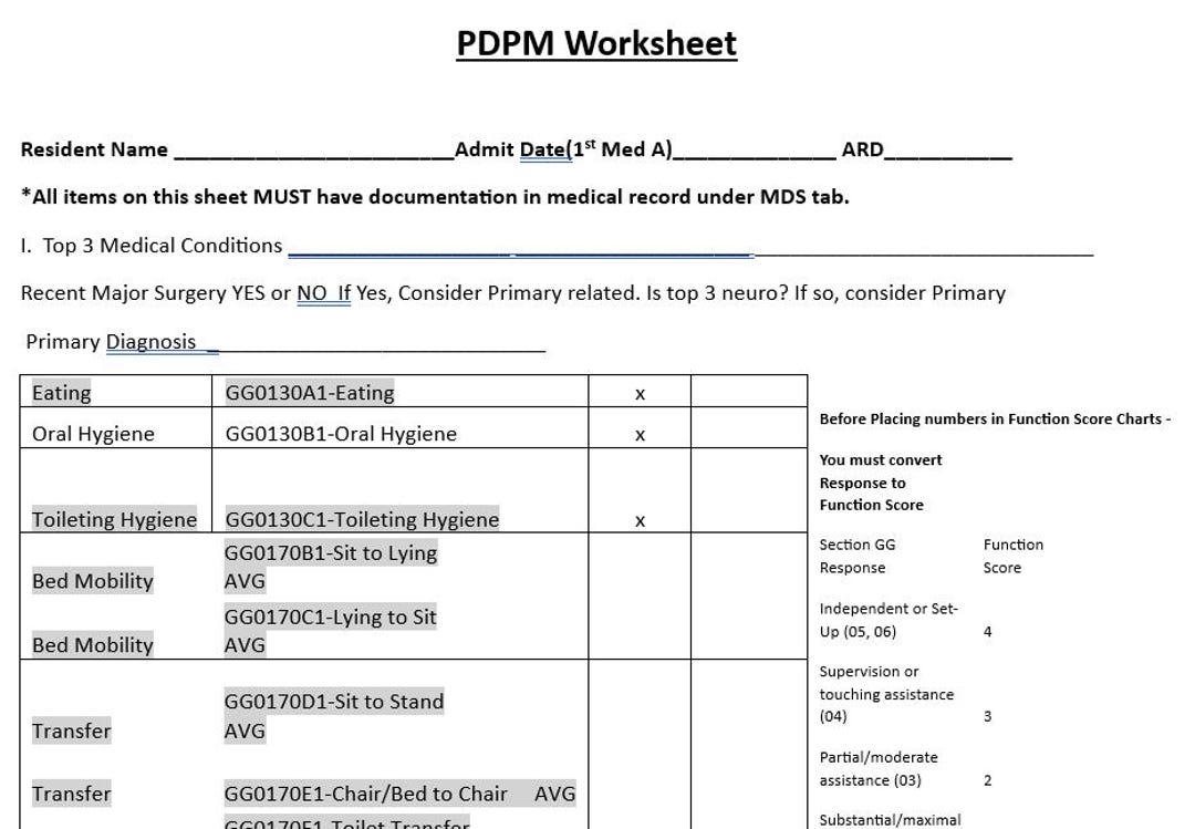 MDS Nurse - PDPM Worksheet - Ensure You Are Getting the Best Rates! - Etsy