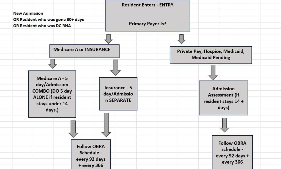 Skilled Nursing MDS Tool - Spreadsheet Tool for Ard's and Due Dates - Etsy