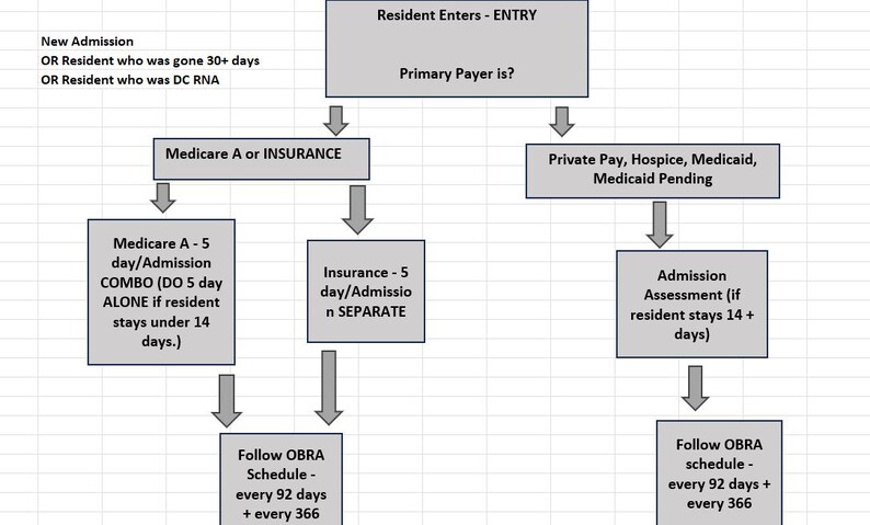 Skilled Nursing MDS Tool - Spreadsheet Tool for Ard's and Due Dates - Etsy