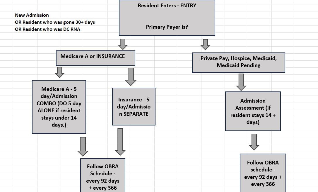 Skilled Nursing MDS Tool - Spreadsheet Tool for Ard's and Due Dates - Etsy