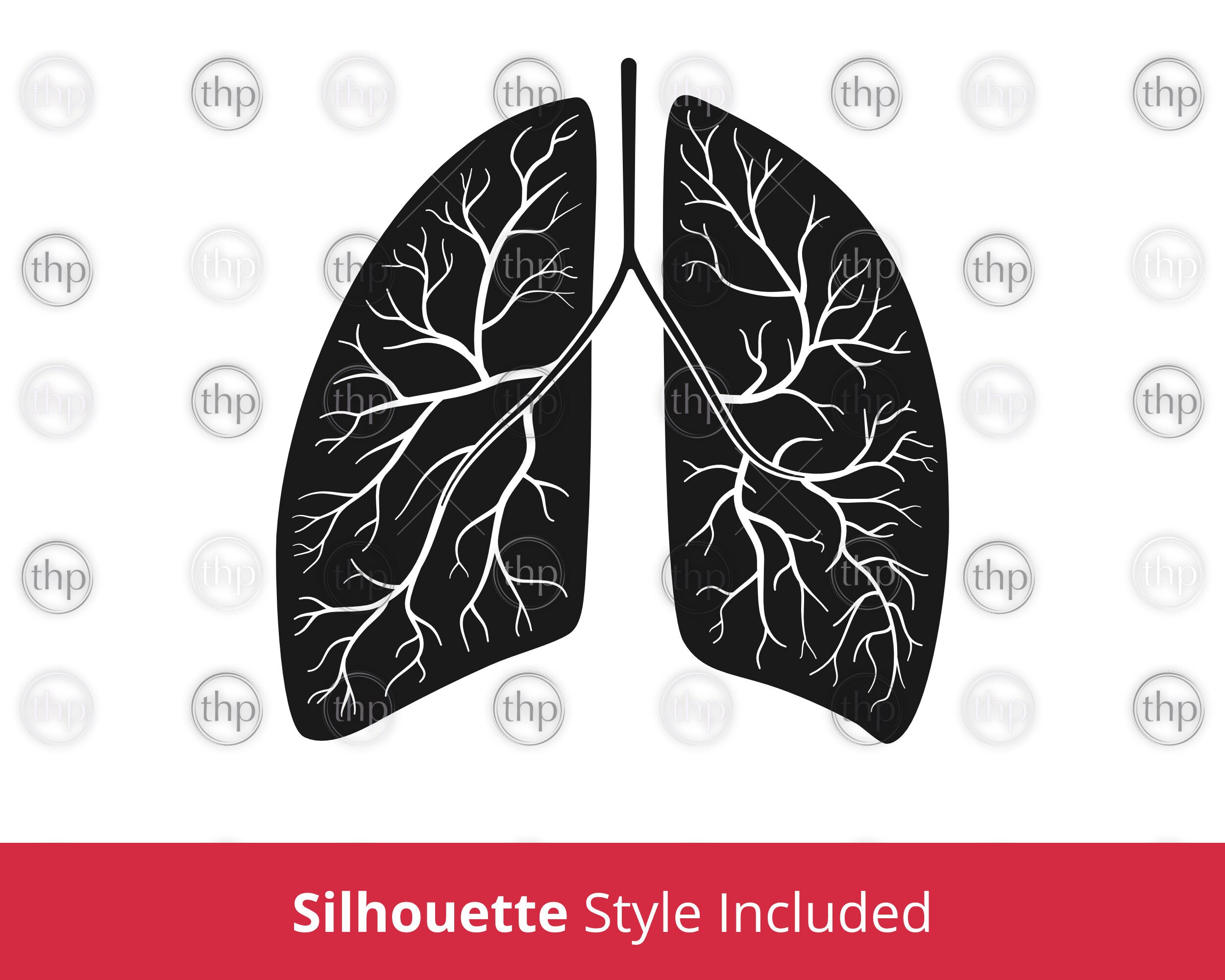 Lungs SVG Human Lungs Svg Anatomical Lungs Svg Organ Svg | Etsy