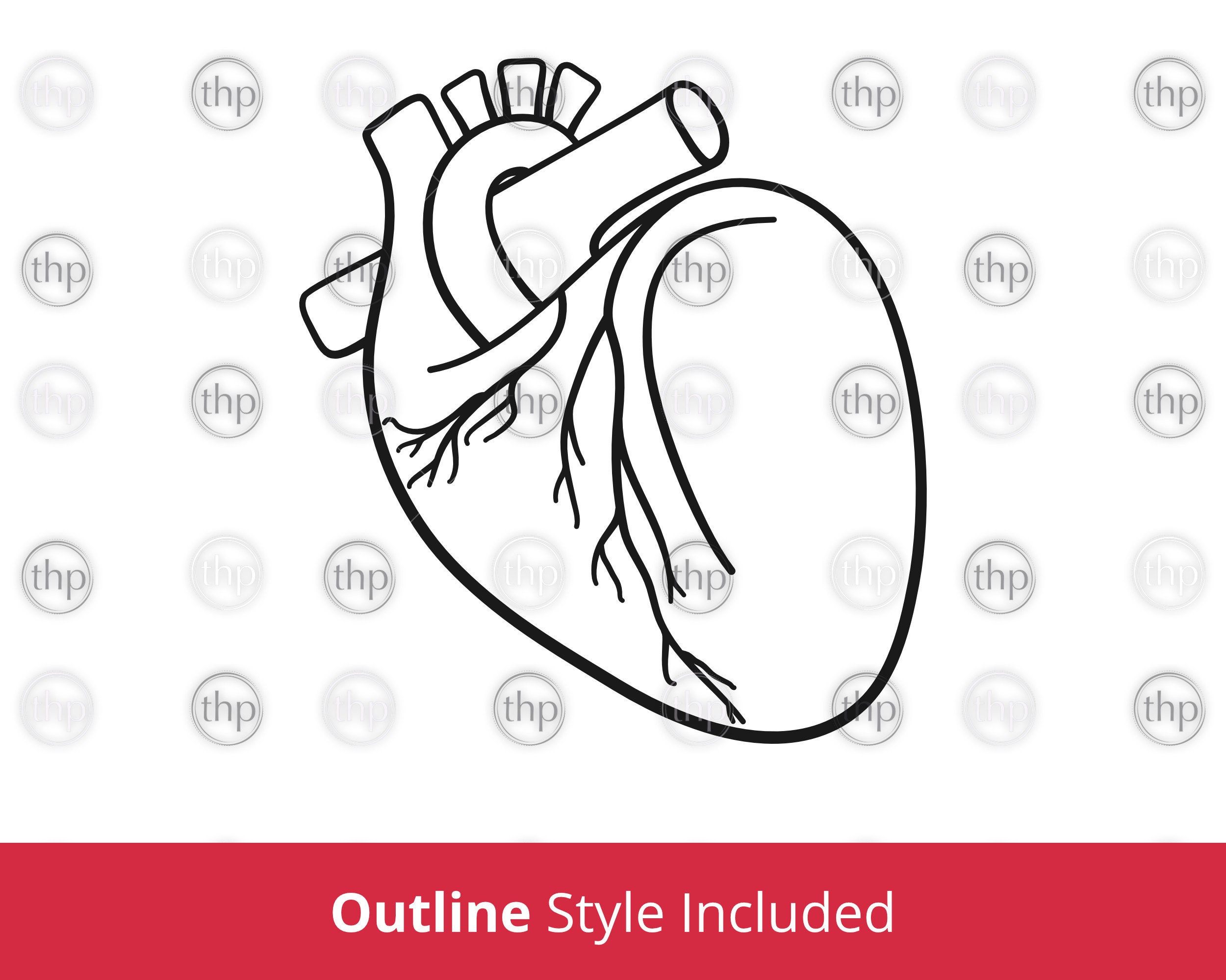 Human Heart SVG EPS PNG Heart Svg Anatomical Heart Svg - Etsy