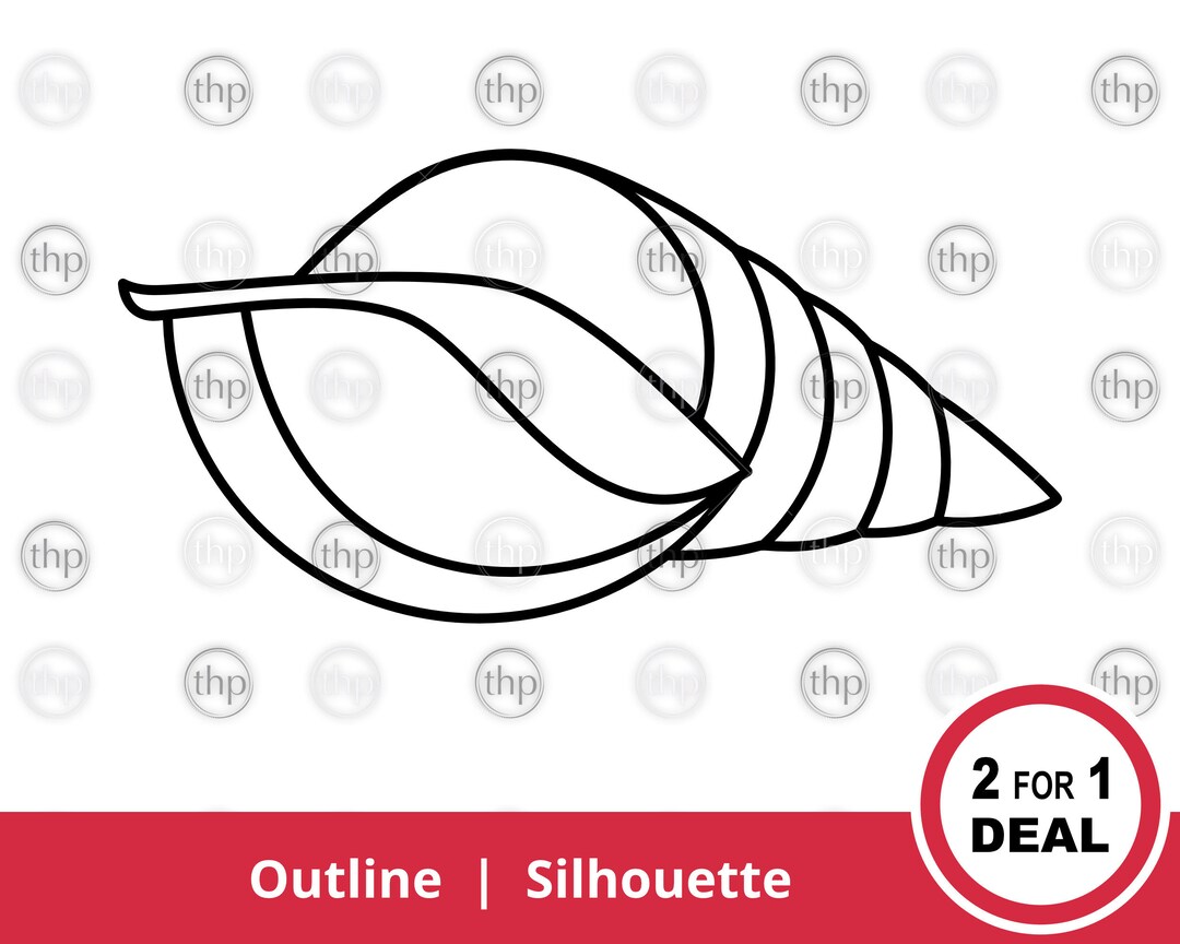 Seashell SVG Conch Shell Svg Shell Svg Sea Shell Svg - Etsy UK