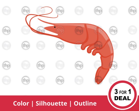 Shrimp SVG Prawn Svg Seafood Svg Shrimp Clipart Cajun - Etsy UK