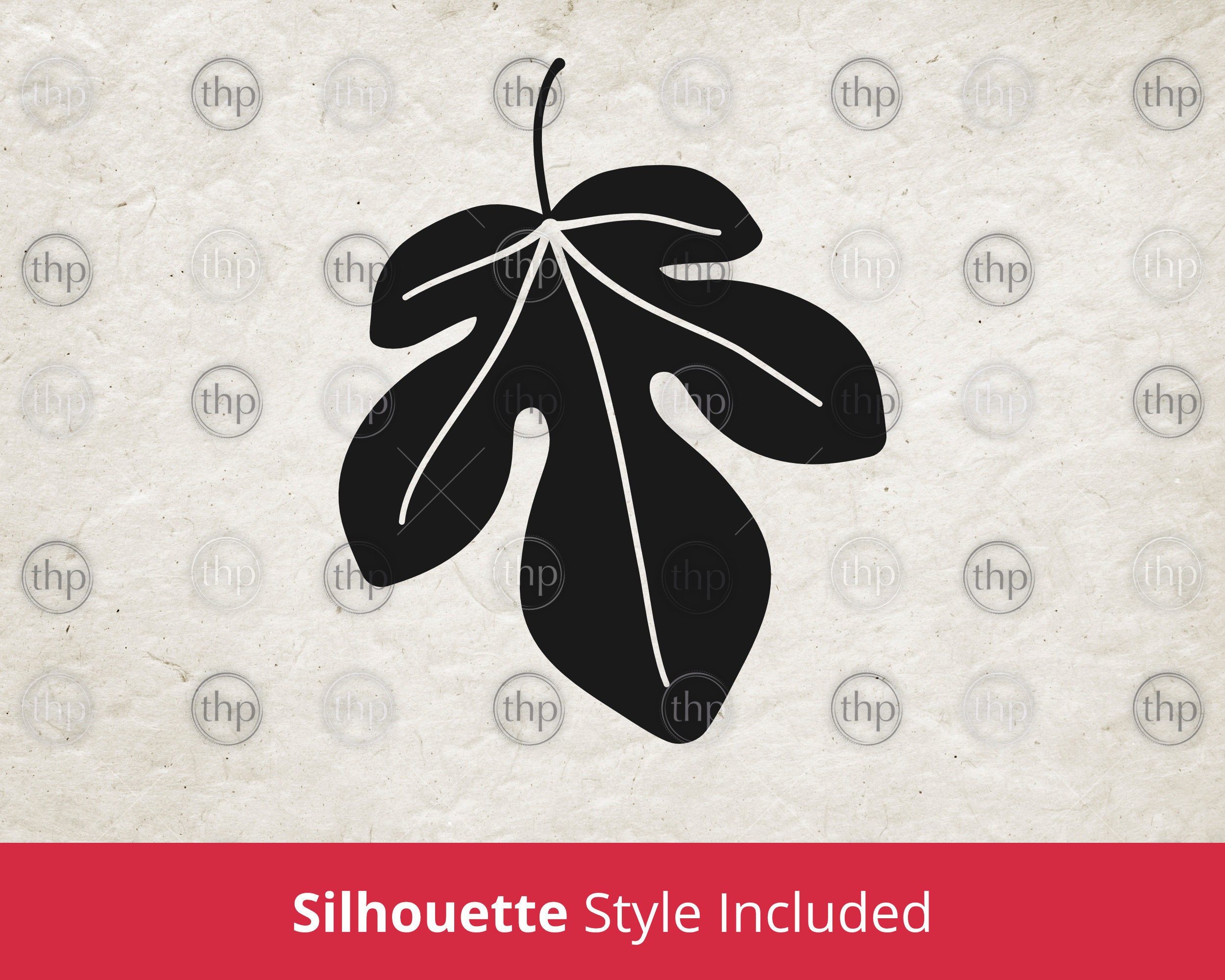 Fig Leaf SVG Leaves Svg Fig Svg Fig Leaf Silhouette Svg - Etsy Canada