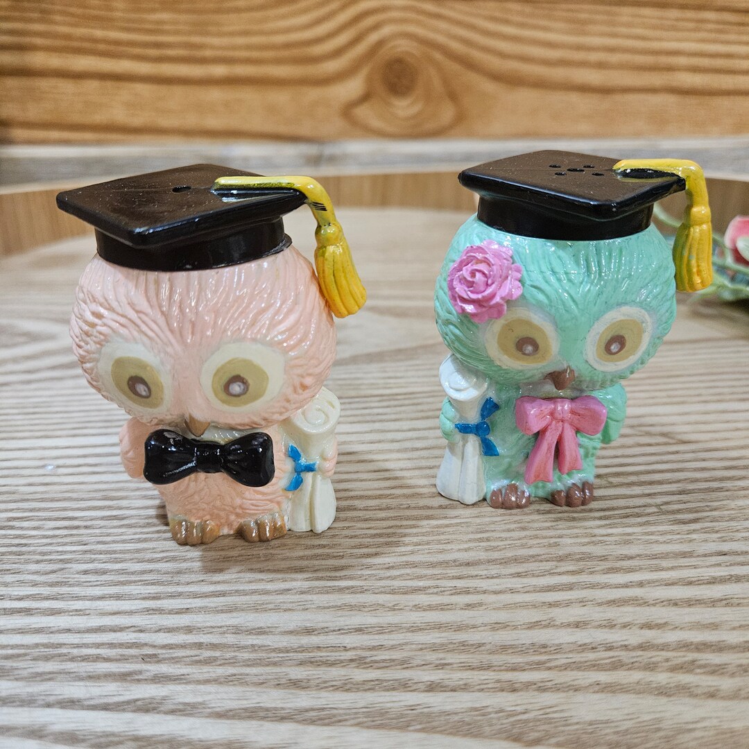 Vintage Cute Kawaii Graduation Owls Salt and Pepper Shakers EC - Etsy