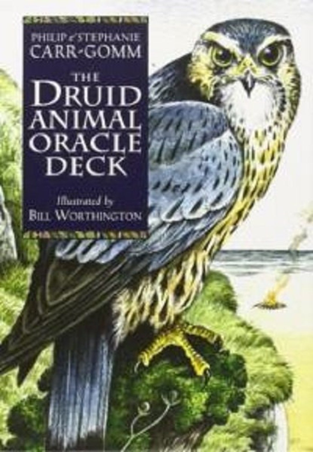 DRUID ANIMAL ORACLE Deck: Working With the Sacred Animals of the Druid ...