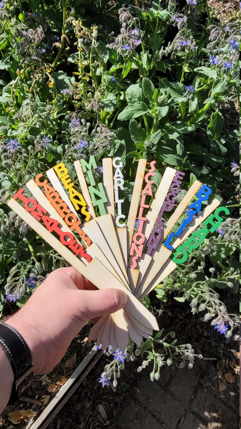 Colorful Hand-painted Garden Vegetable Fruits Markers - Etsy