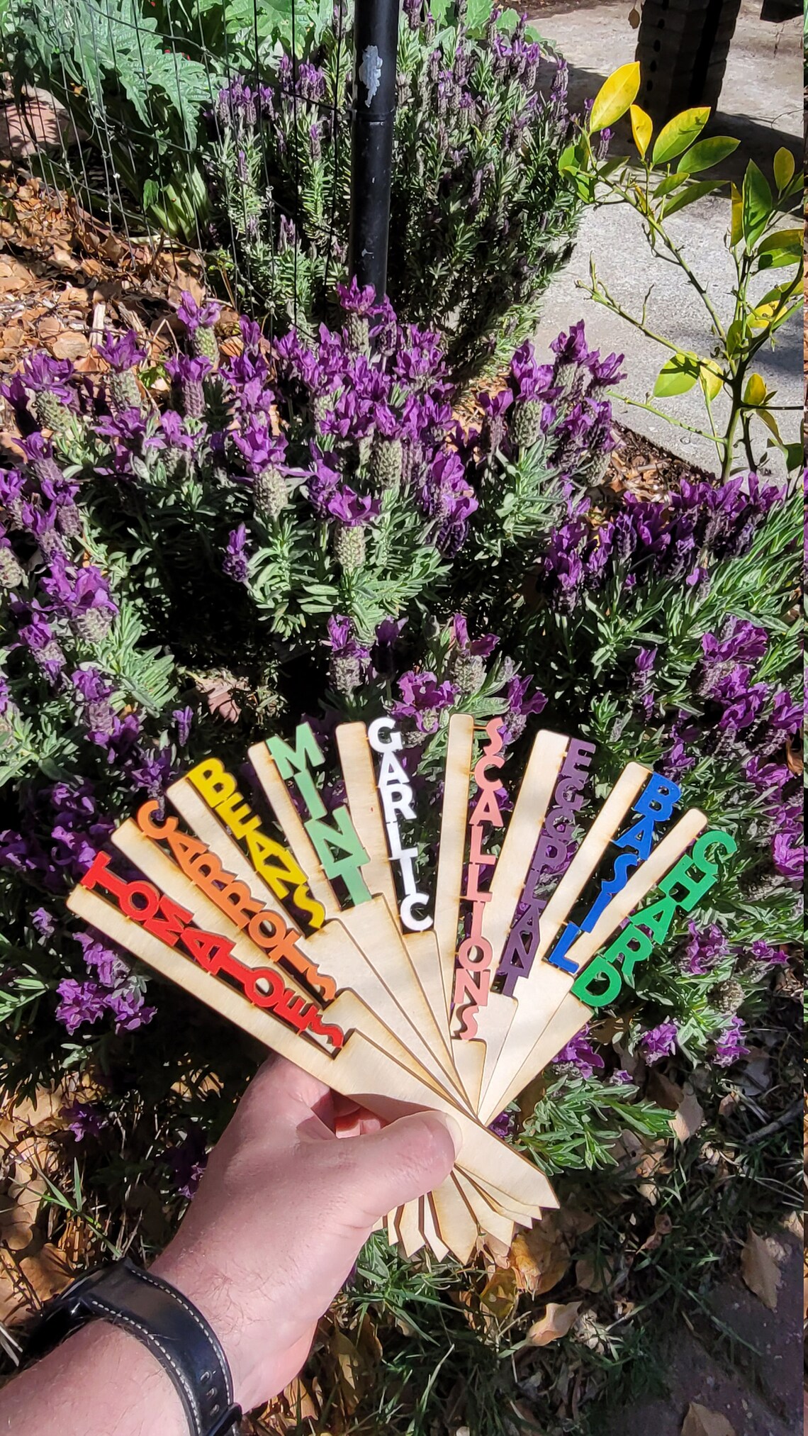 Colorful Hand-painted Garden Vegetable Fruits Markers - Etsy