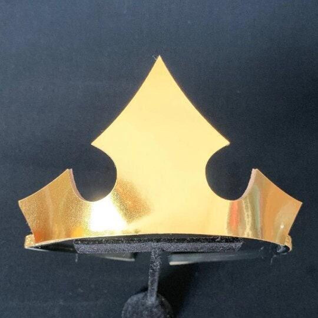 Aurora Crown Set,aurora Elastic Headband,sleeping Beauty,aurora Costume ...